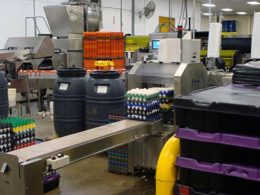 50 Photos: Tour egg processing plant in Lancaster County