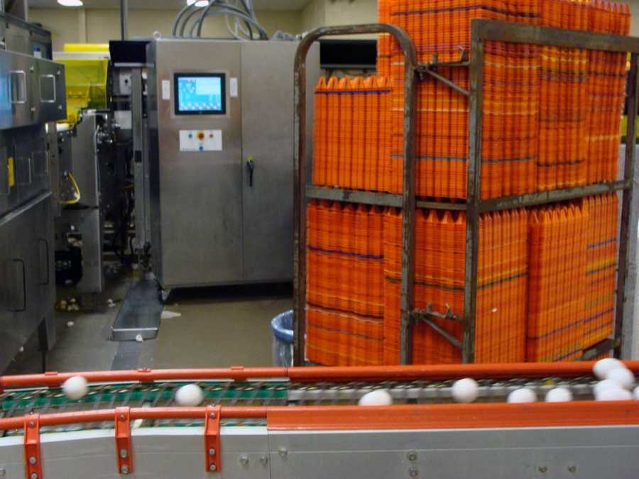 50 Photos: Tour egg processing plant in Lancaster County