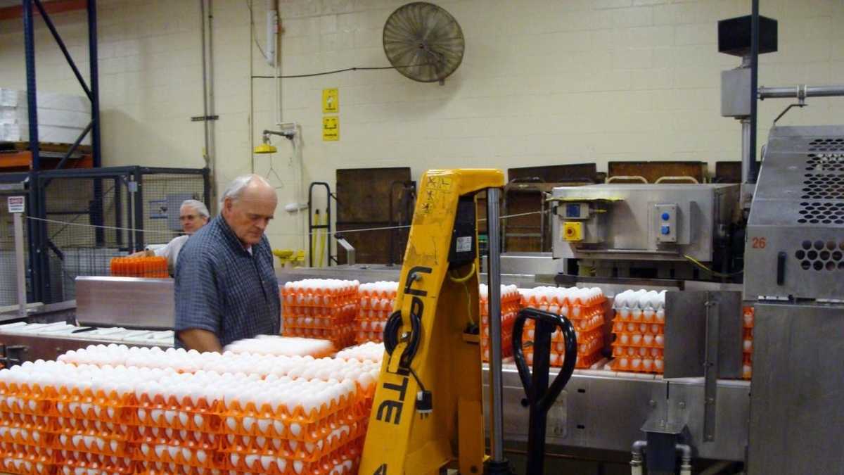50 Photos: Tour egg processing plant in Lancaster County