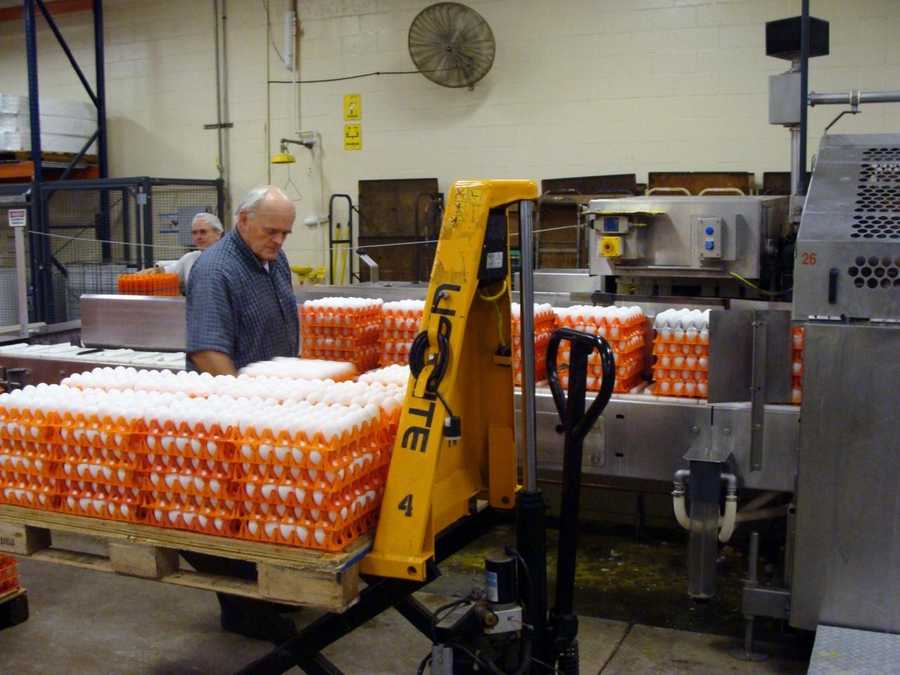 50 Photos: Tour egg processing plant in Lancaster County