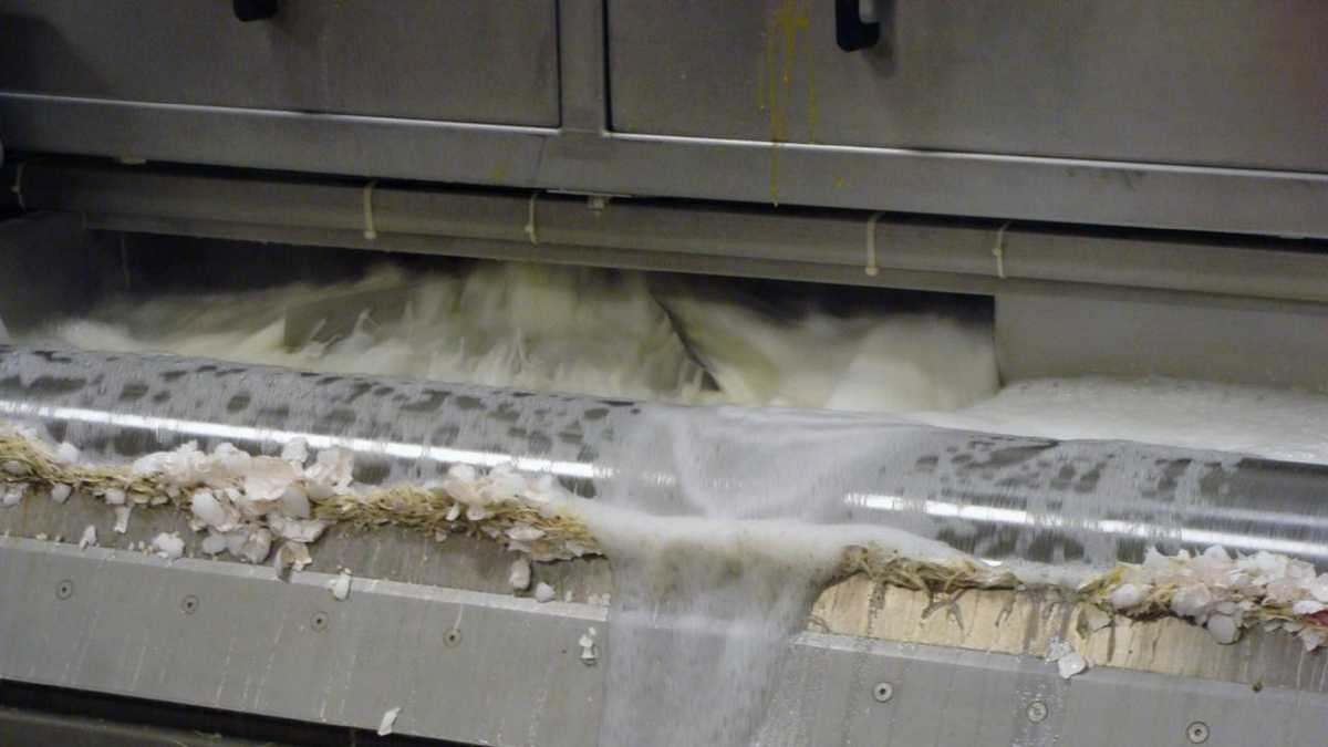 50 Photos: Tour egg processing plant in Lancaster County