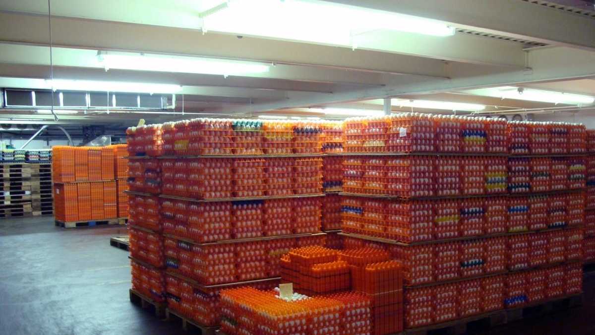 50 Photos: Tour egg processing plant in Lancaster County