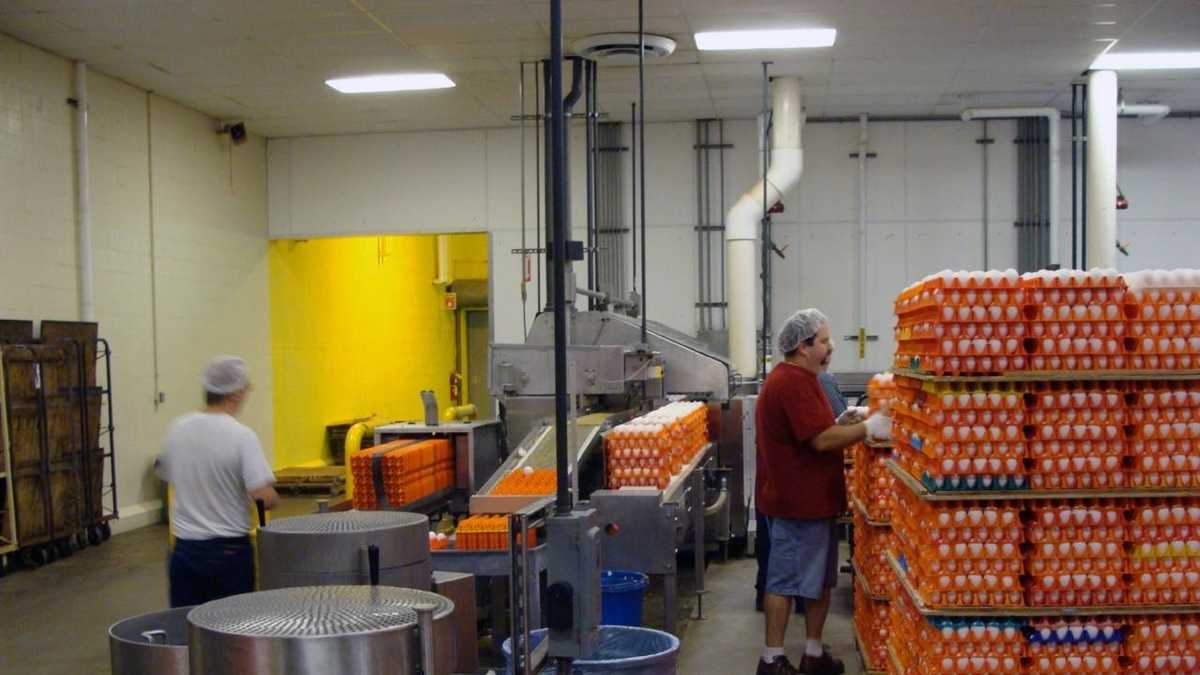 50 Photos: Tour egg processing plant in Lancaster County