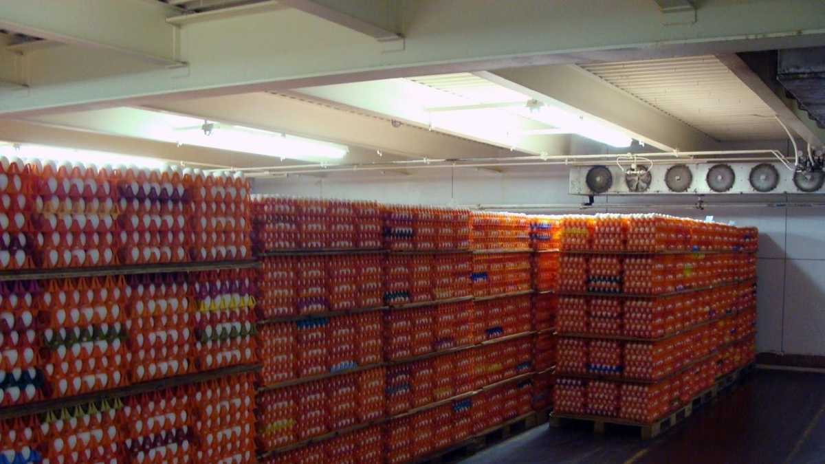 50 Photos: Tour egg processing plant in Lancaster County