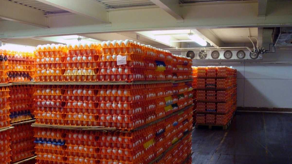 50 Photos: Tour egg processing plant in Lancaster County