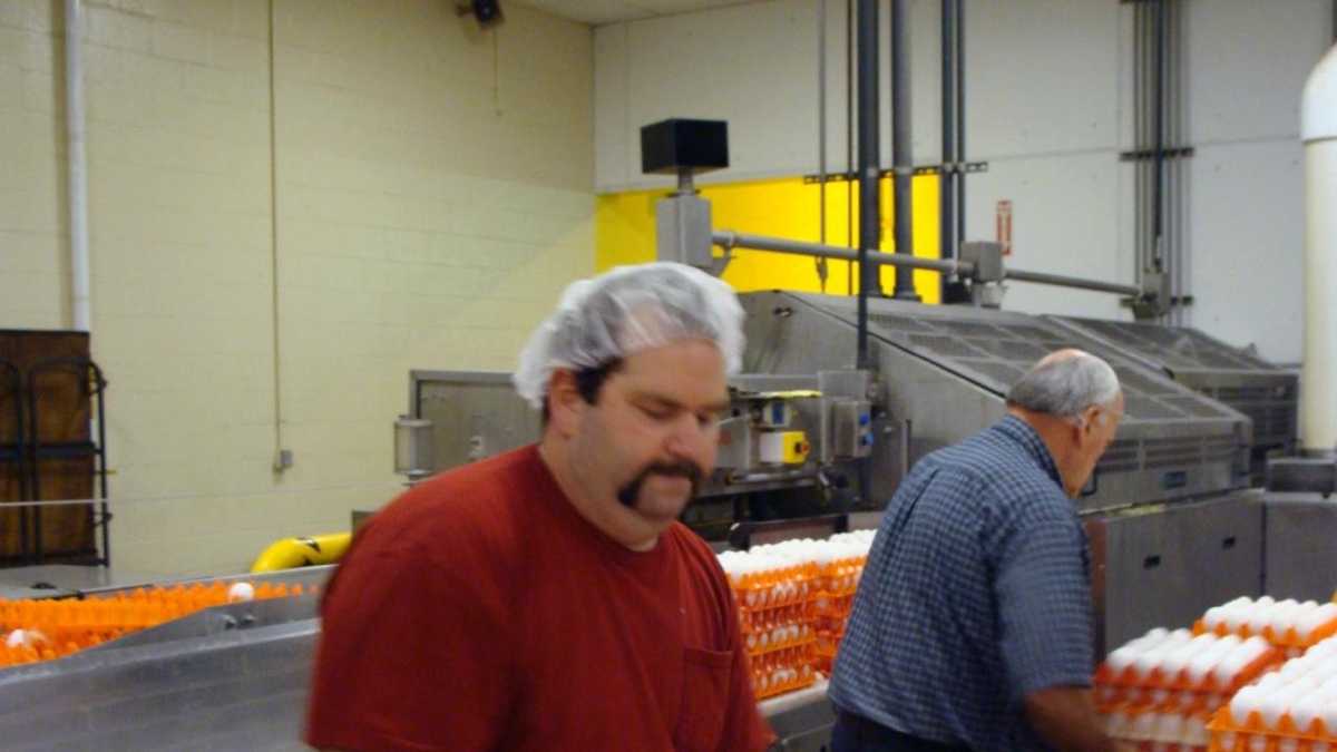 50 Photos: Tour egg processing plant in Lancaster County