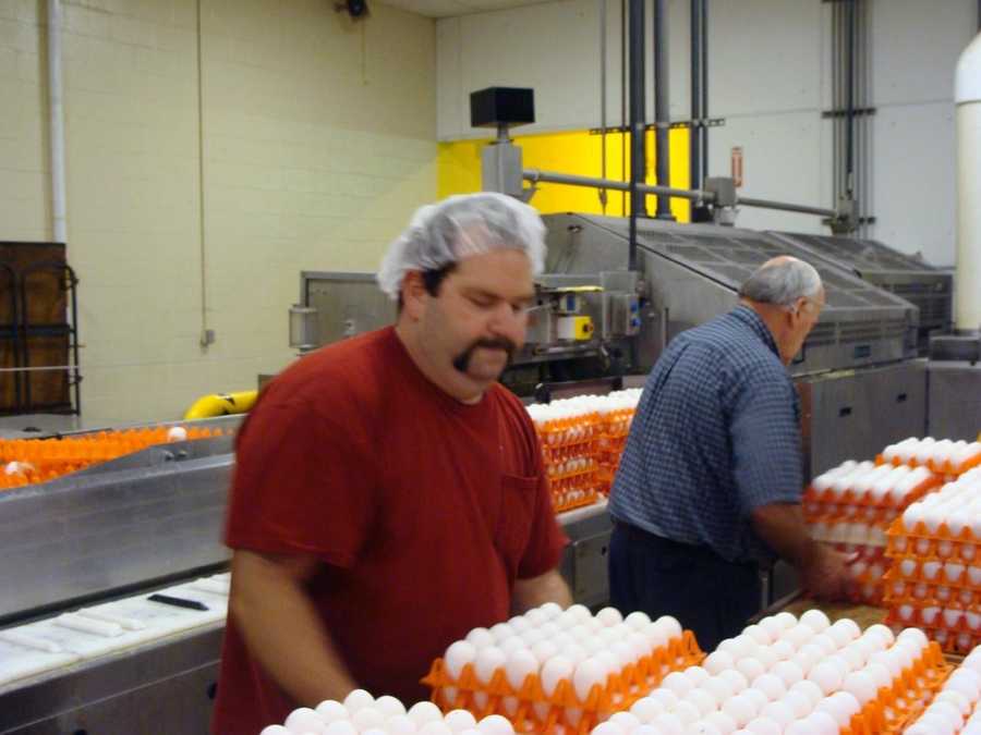 50 Photos: Tour egg processing plant in Lancaster County