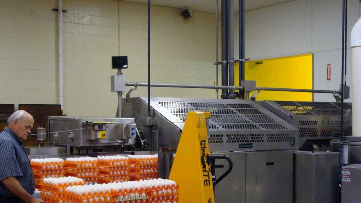 50 Photos: Tour egg processing plant in Lancaster County