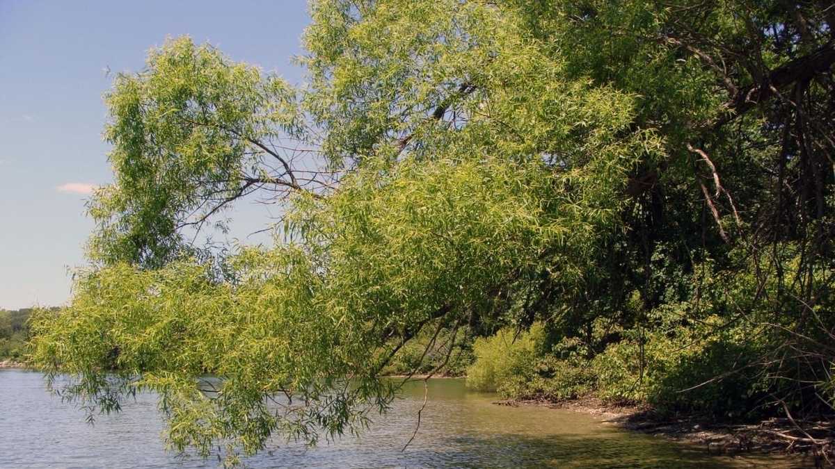 Take a tour of Codorus State Park