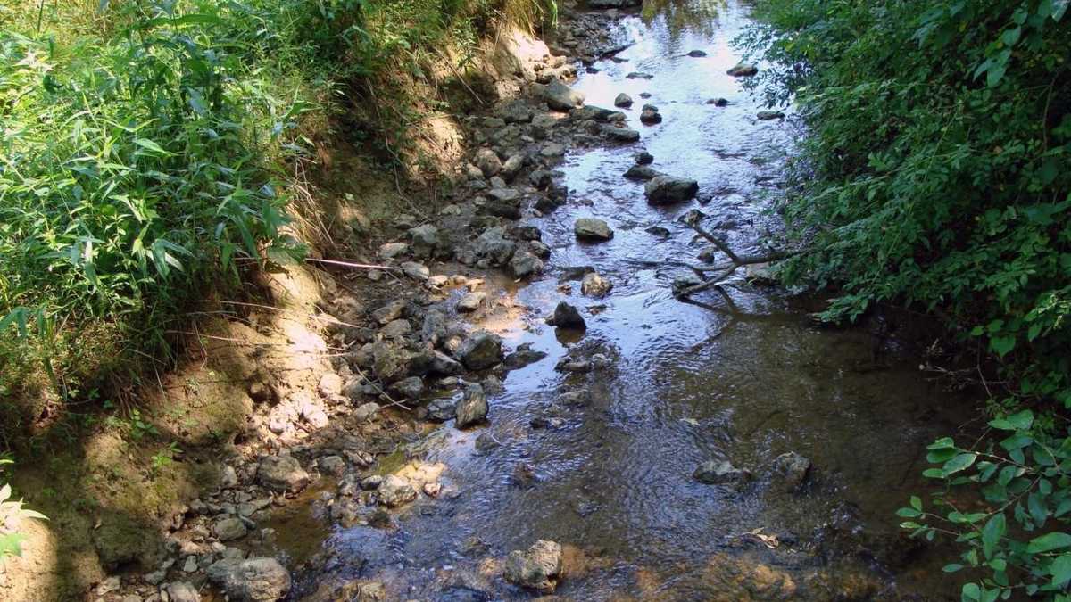 Take a tour of Codorus State Park