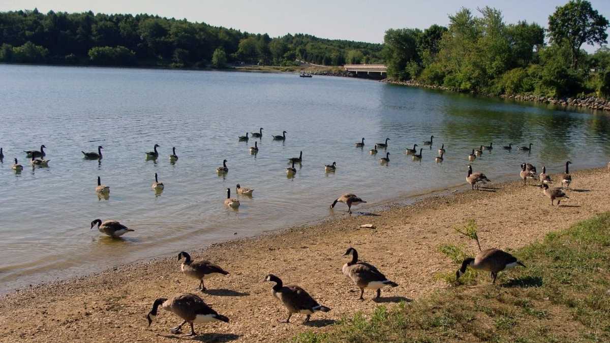 Take a tour of Codorus State Park