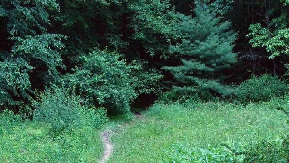 50 Photos: Pine Grove marks midpoint of Appalachian Trail