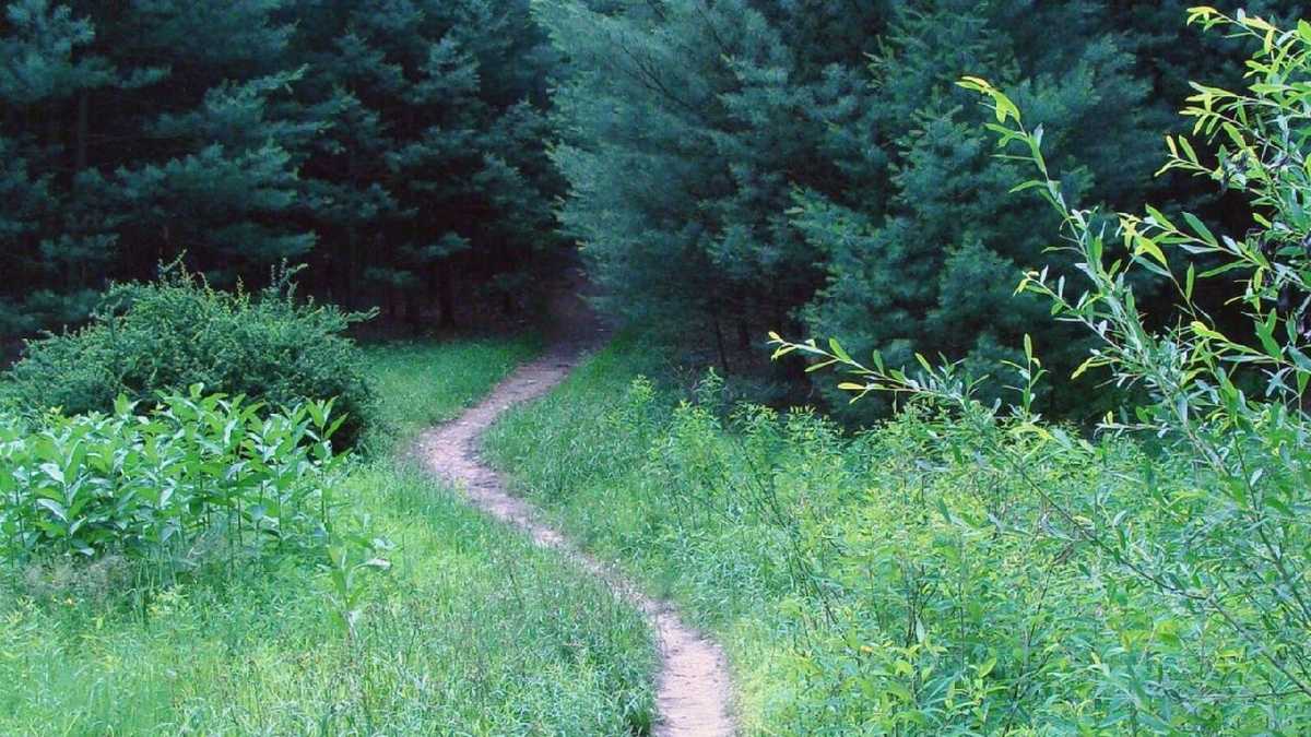 50 Photos: Pine Grove marks midpoint of Appalachian Trail