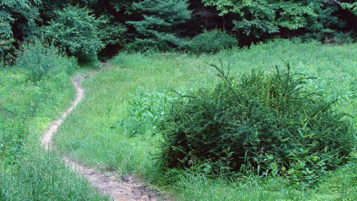 50 Photos: Pine Grove marks midpoint of Appalachian Trail