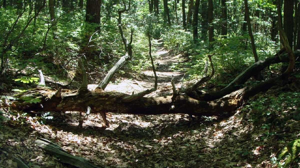 50 Photos: Pine Grove marks midpoint of Appalachian Trail