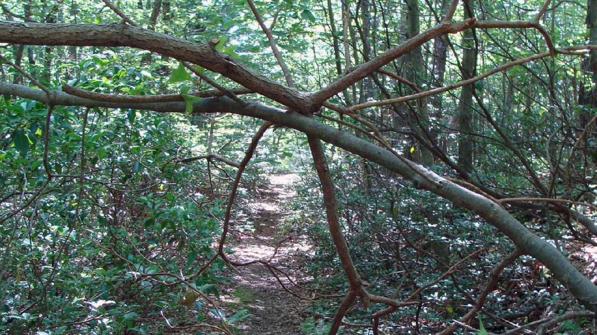 50 Photos: Pine Grove marks midpoint of Appalachian Trail
