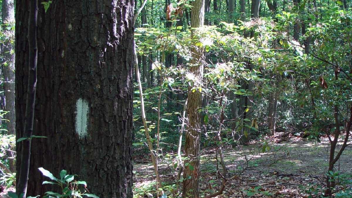 50 Photos: Pine Grove marks midpoint of Appalachian Trail