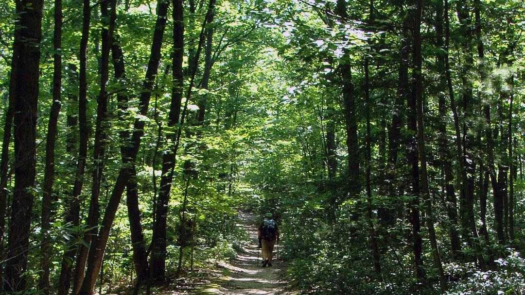50 Photos: Pine Grove marks midpoint of Appalachian Trail