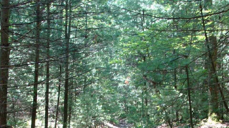 50 Photos: Pine Grove marks midpoint of Appalachian Trail