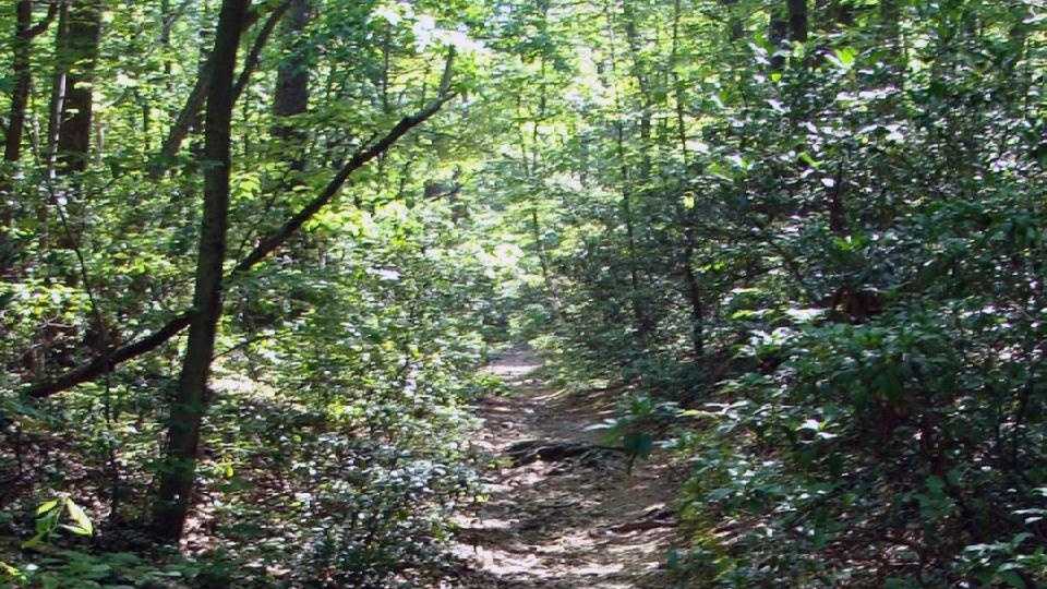 50 Photos: Pine Grove marks midpoint of Appalachian Trail