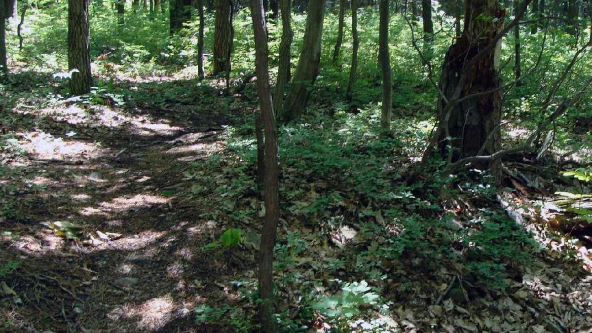 50 Photos: Pine Grove marks midpoint of Appalachian Trail