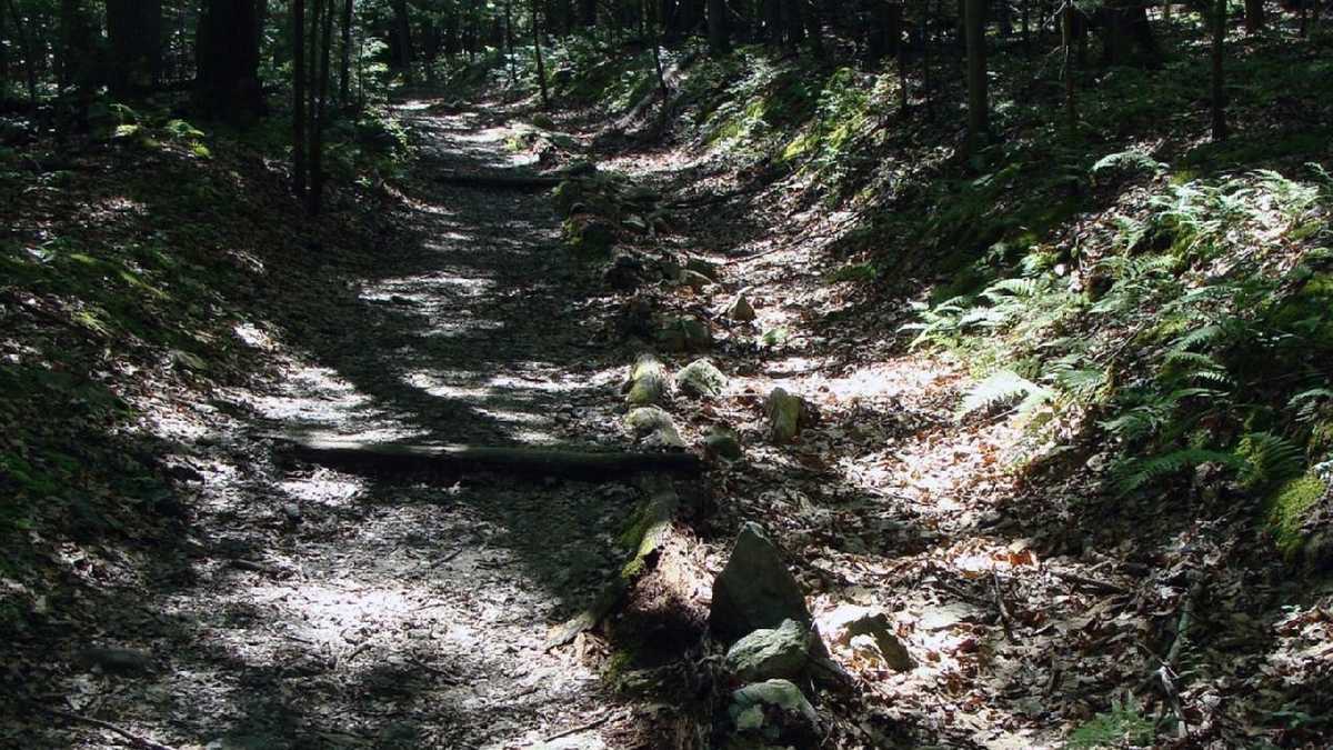 50 Photos: Pine Grove marks midpoint of Appalachian Trail