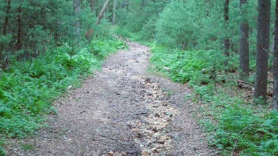 50 Photos: Pine Grove marks midpoint of Appalachian Trail