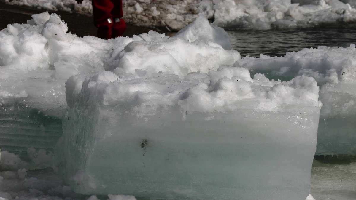 Would you jump into frigid water? These people did!