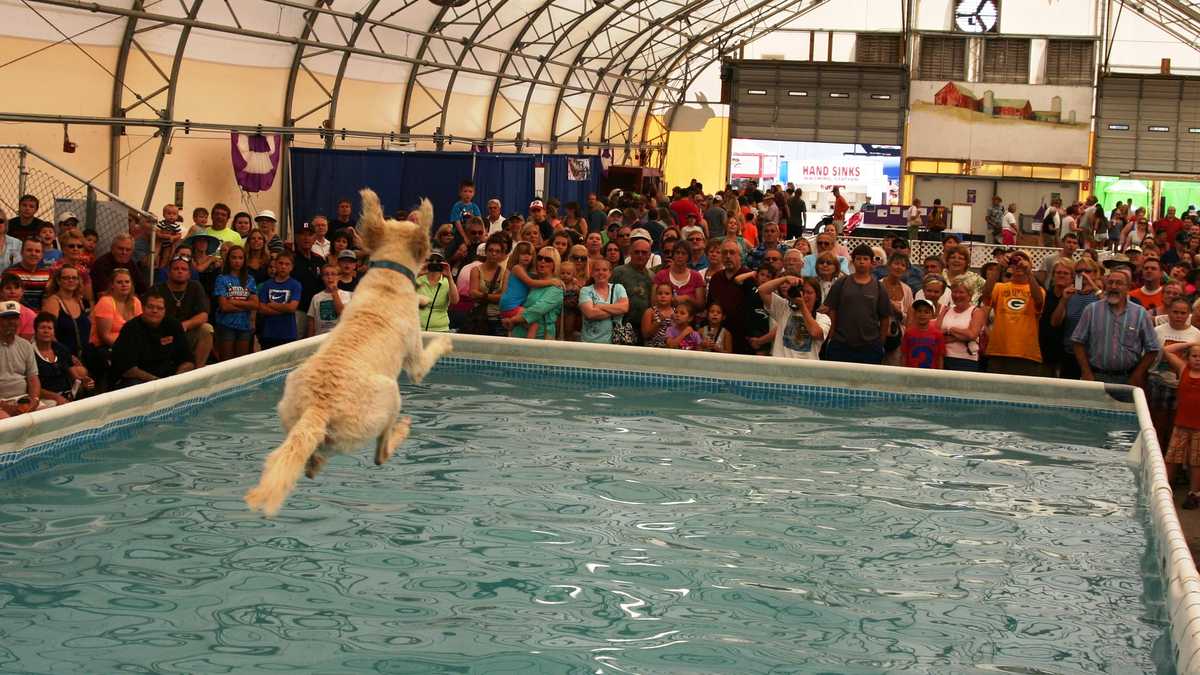 Photos: Doggie diving competition at WI State Fair