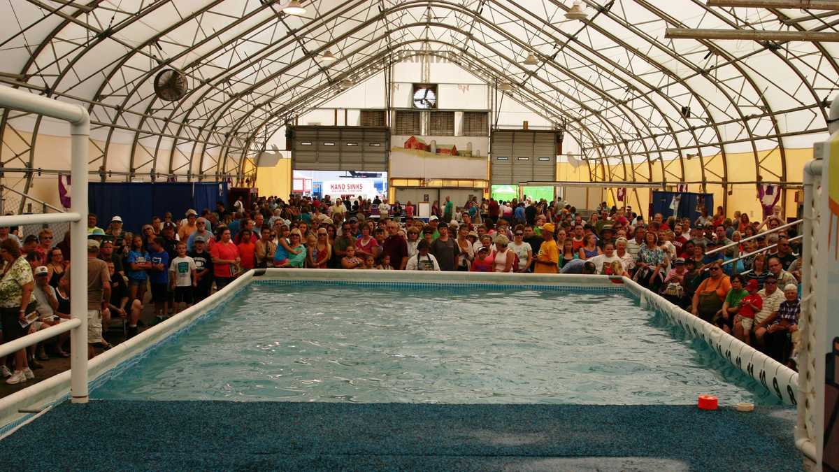 Photos: Doggie diving competition at WI State Fair