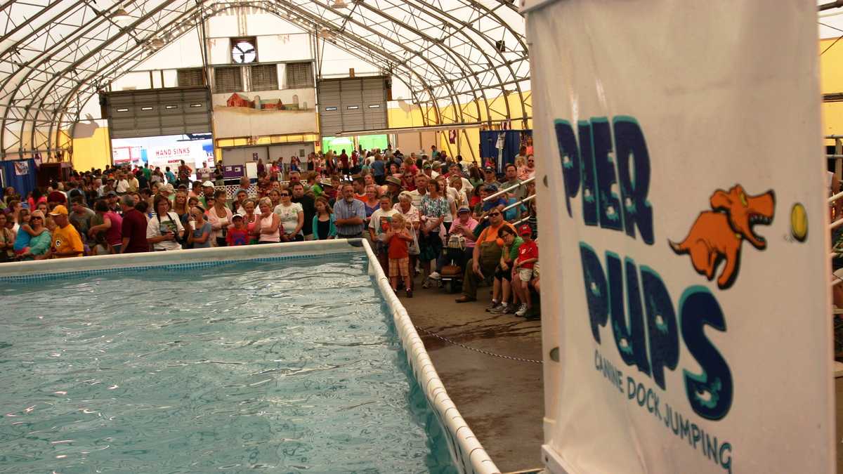 Photos: Doggie diving competition at WI State Fair