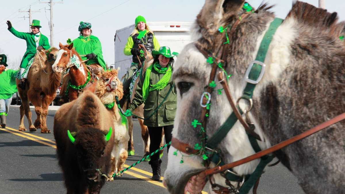 Photos: St. Patrick's Day parade in Town of Erin