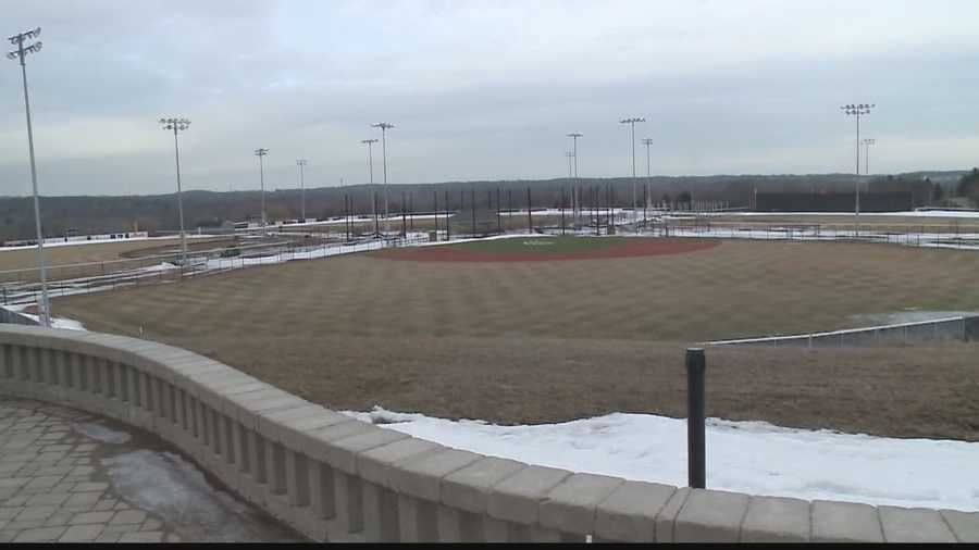 The Rock could score a minor league baseball team