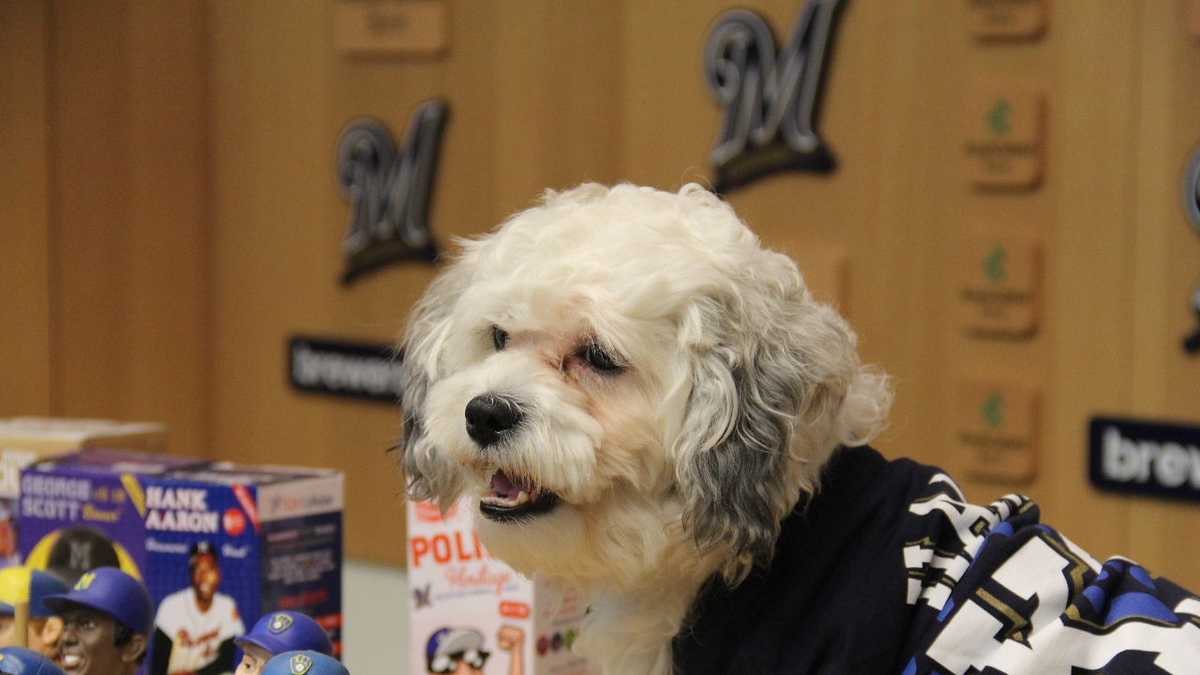 Photos: Brewers announce "bobble Hank" giveaway