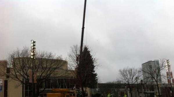 Milwaukee Christmas tree in place at Red Arrow Park
