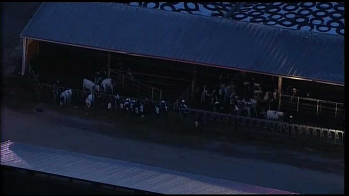 Photos: Fire at Roden Farm