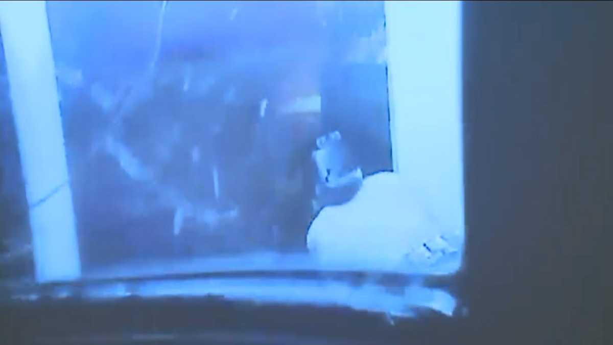 Police release bodycam footage of hostage situation