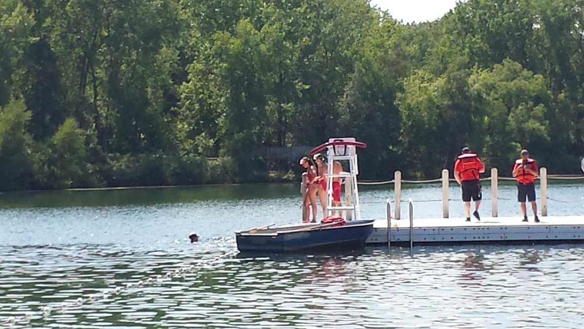 Images: Fox Brook County Park search