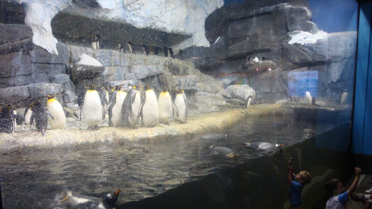 Images: Newport Aquarium