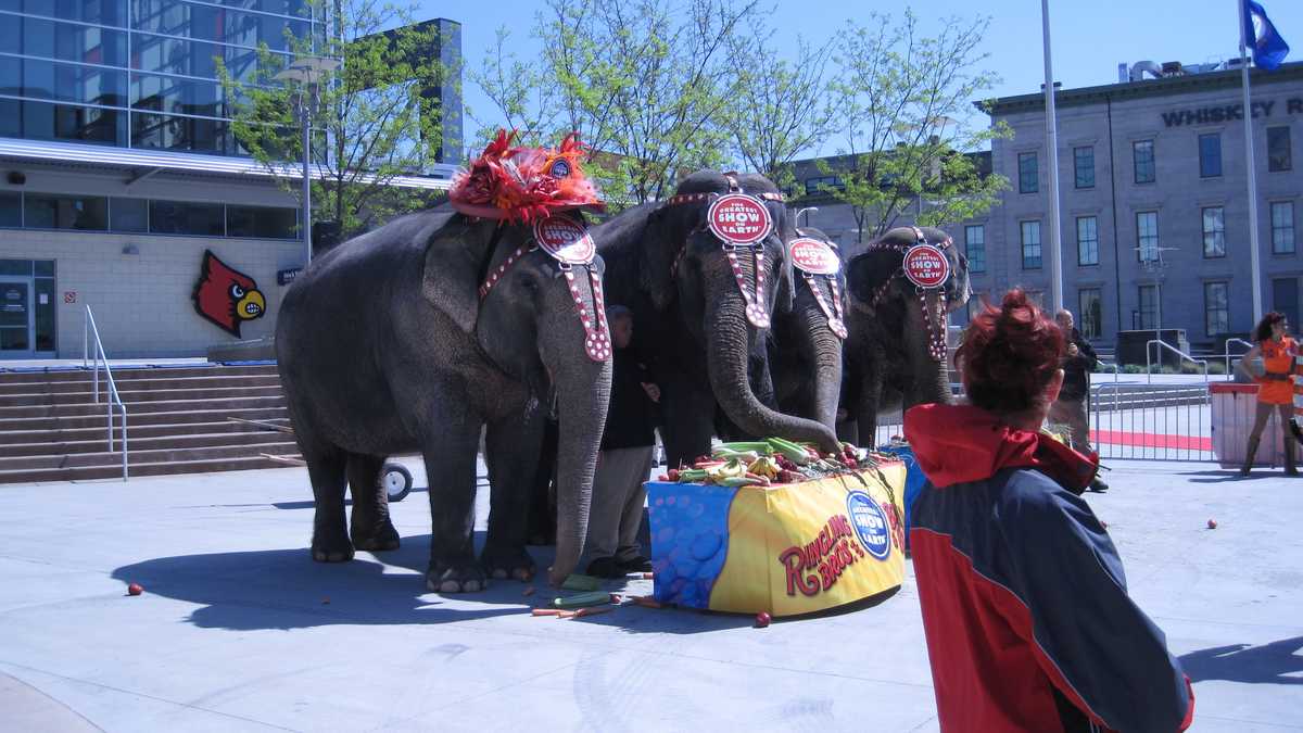 Images: PETA protests circus citing animal abuse