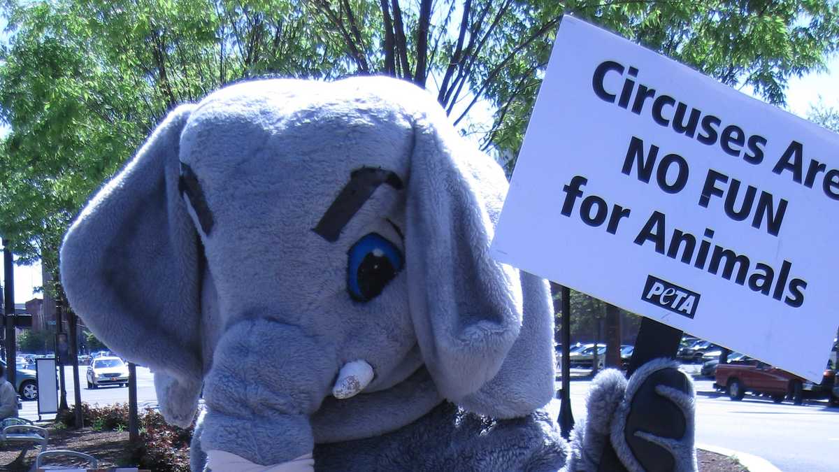 Images: PETA protests circus citing animal abuse
