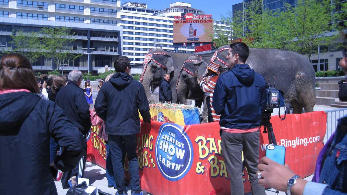 Images: PETA protests circus citing animal abuse