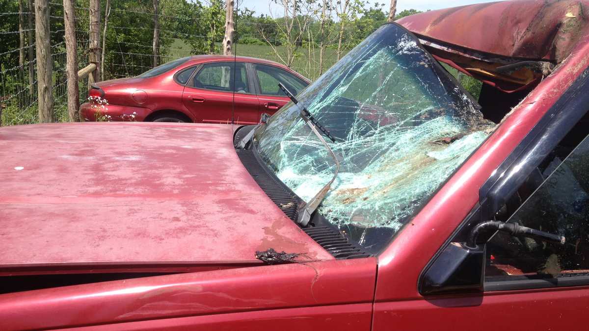 Airborne deer crashes through windshield, killing driver