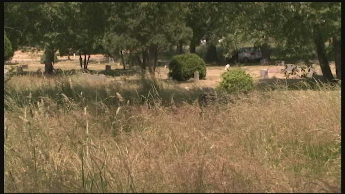 Visitors upset over waist-high weeds at cemetery
