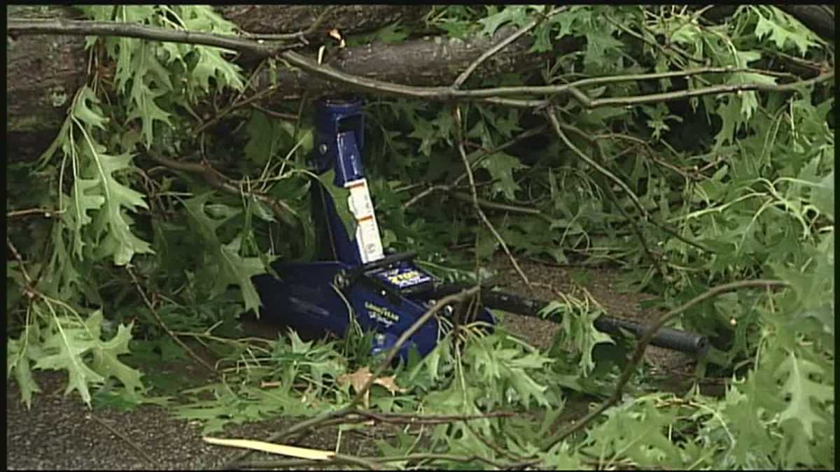 Coroner identifies boy killed by fallen tree limbs
