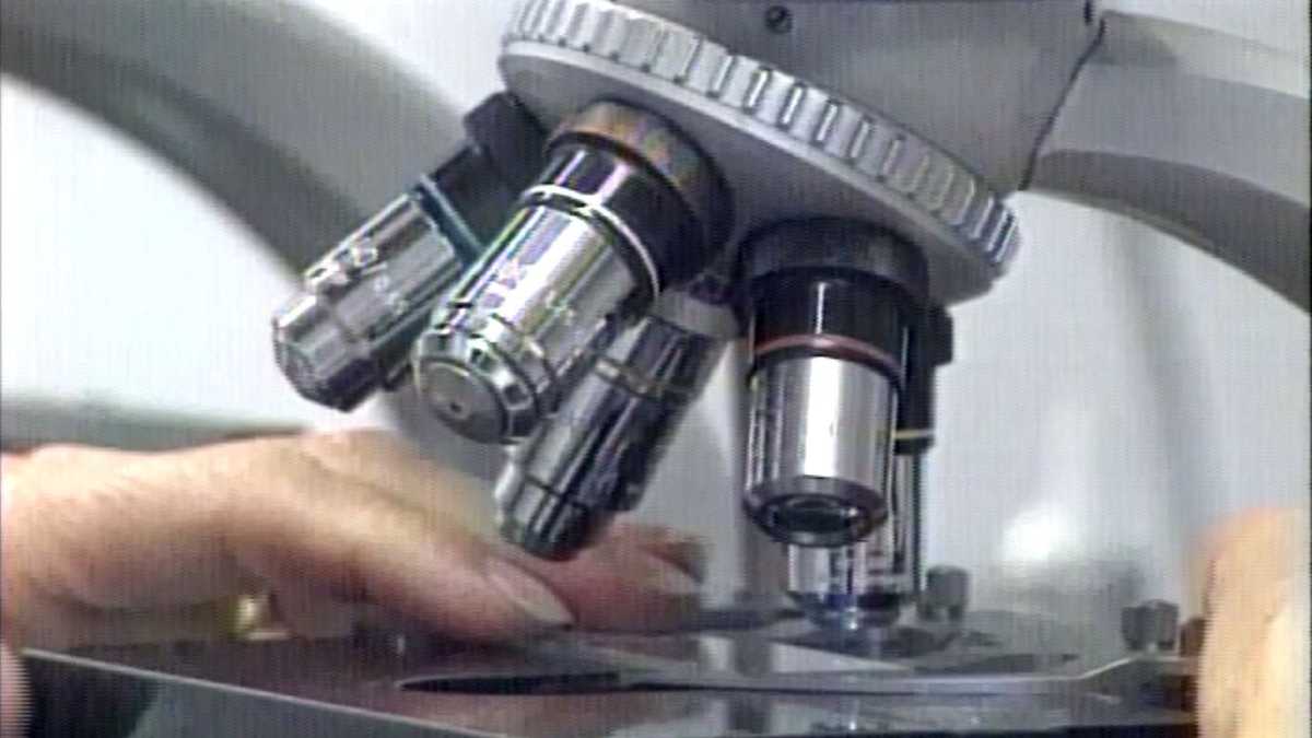 Timeline: Jessica Dishon case