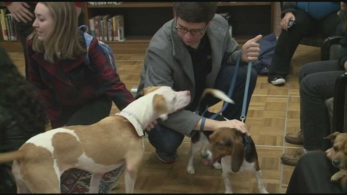 Dogs helping UofL students relieve finals stress