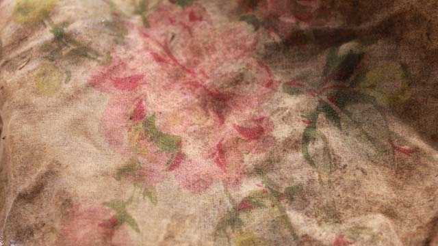 Images: Evidence in Jessica Dishon case