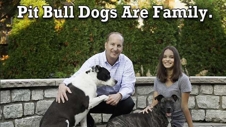 New campaign launched to save pit bulls
