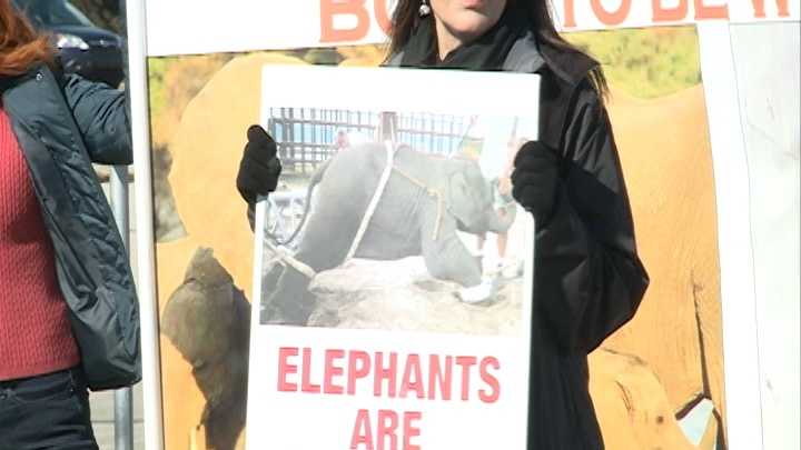 Protesters hold signs outside expo center for circus goers
